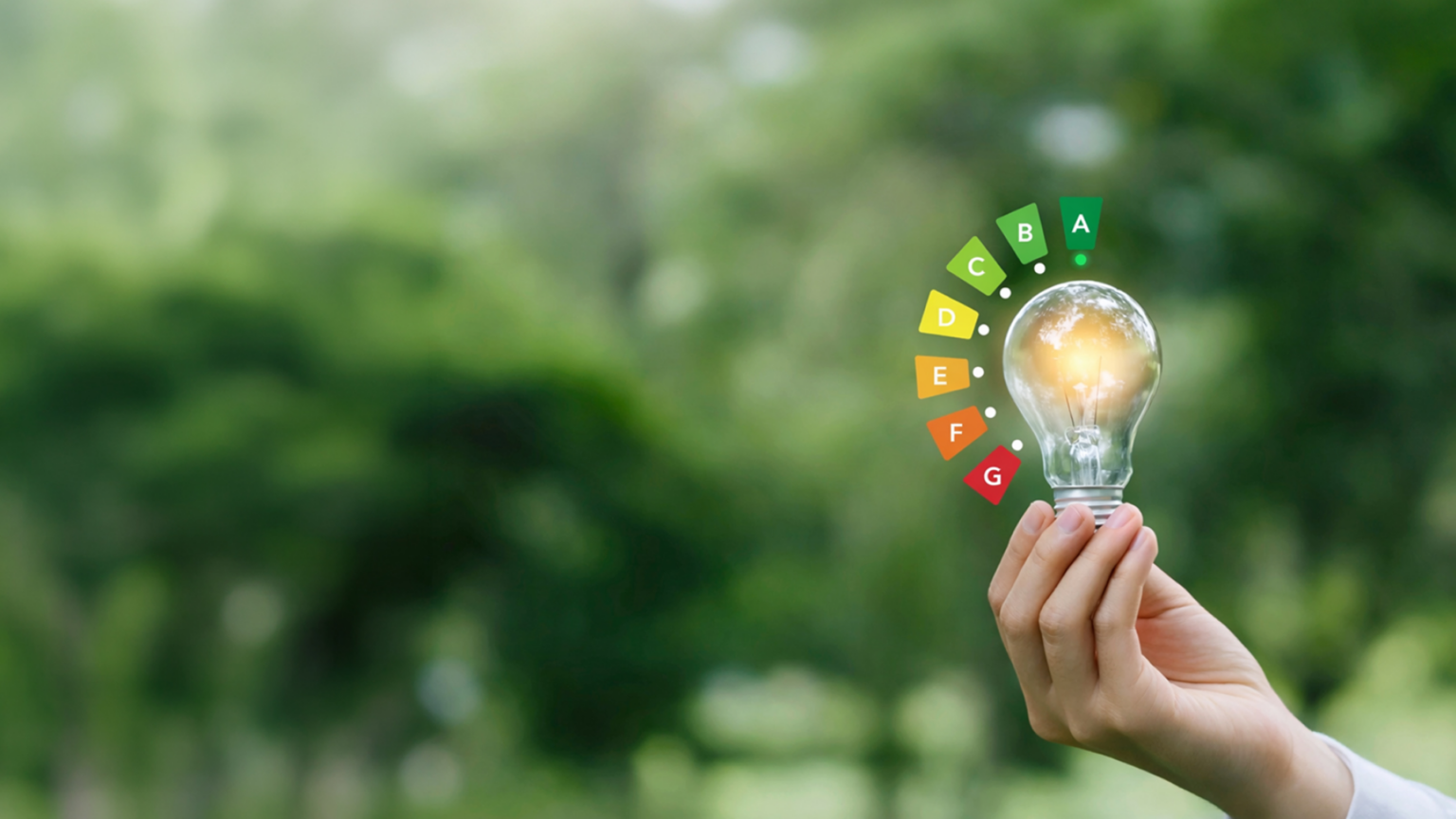 Acerta | Certification in R&D&I, Food Safety and ESG